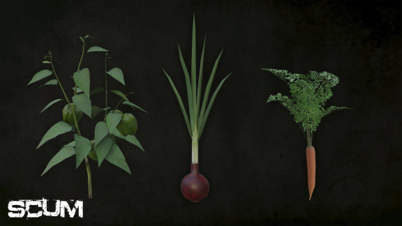 SCUM Game Interactive Map