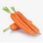 SCUM Game Interactive Map