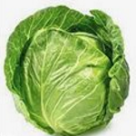 SCUM Game Interactive Map